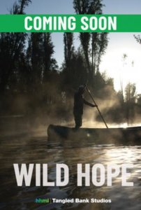Wild Hope